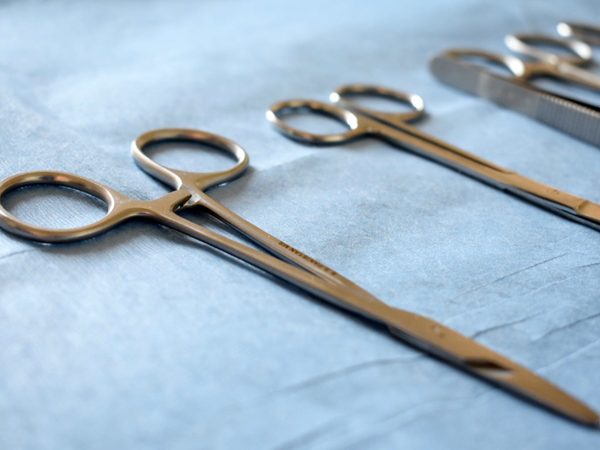 Short Procedure Unit & Surgical Services | Punxsutawney Area Hospital